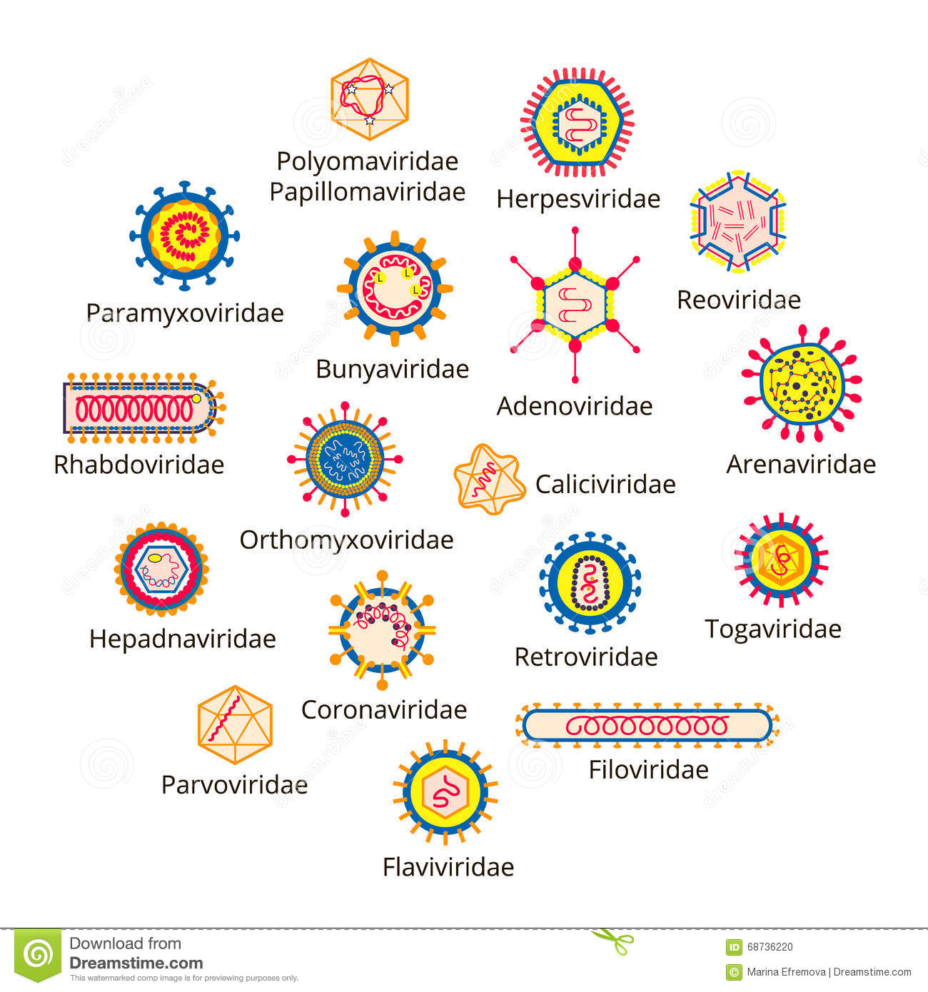 El Blog de los Lagartijos: 1/2/20 - 1/3/20
