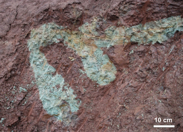 Chinleana: Cynodont Burrows from the Upper Triassic of Poland