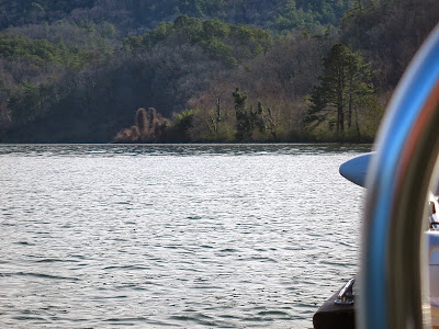 Gary's Outdoor Wanderings2: CHILHOWEE LAKE 2014