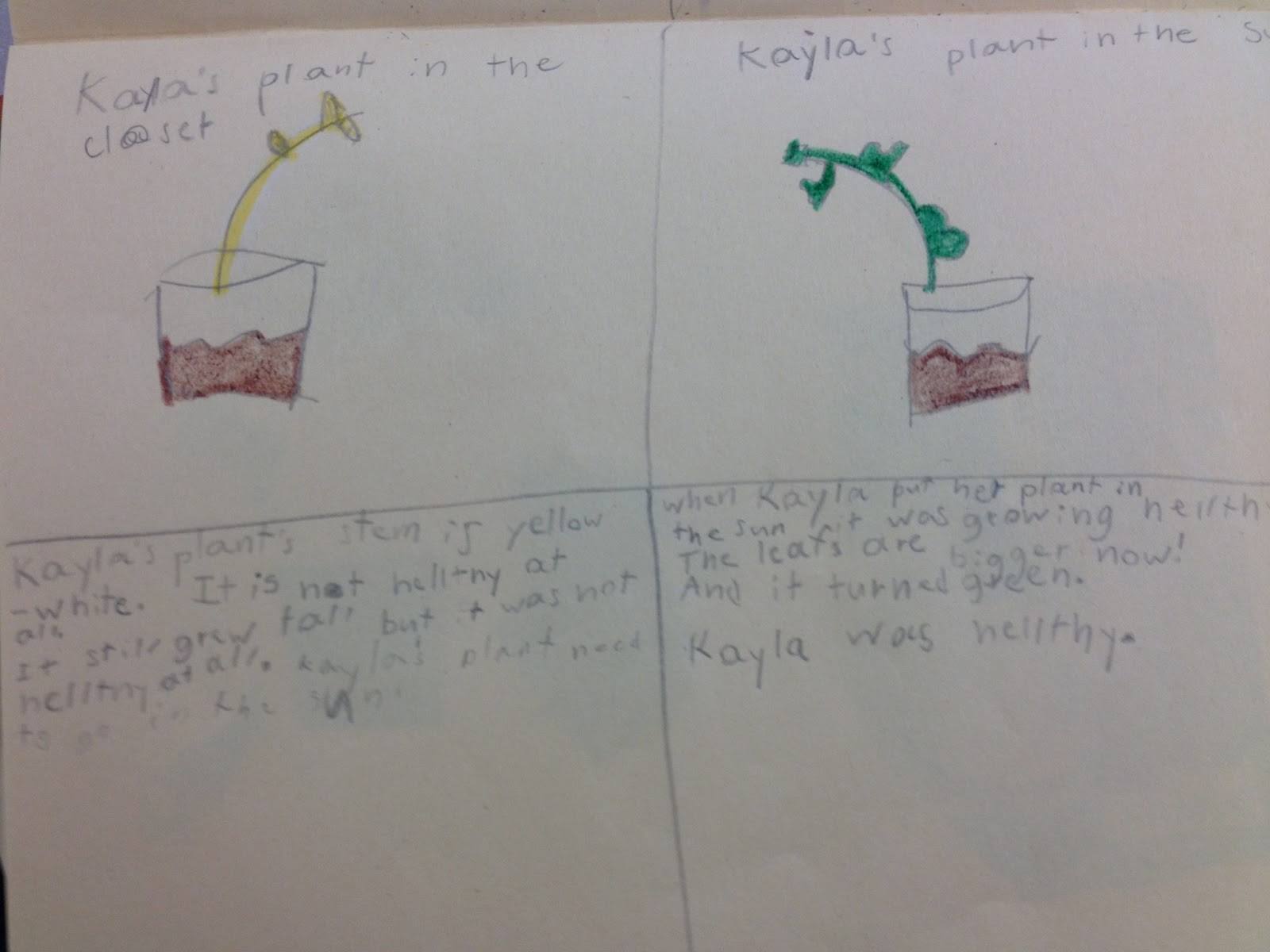 Wonder, Explore & Discover in Grade One: Our First Inquiry in Science!