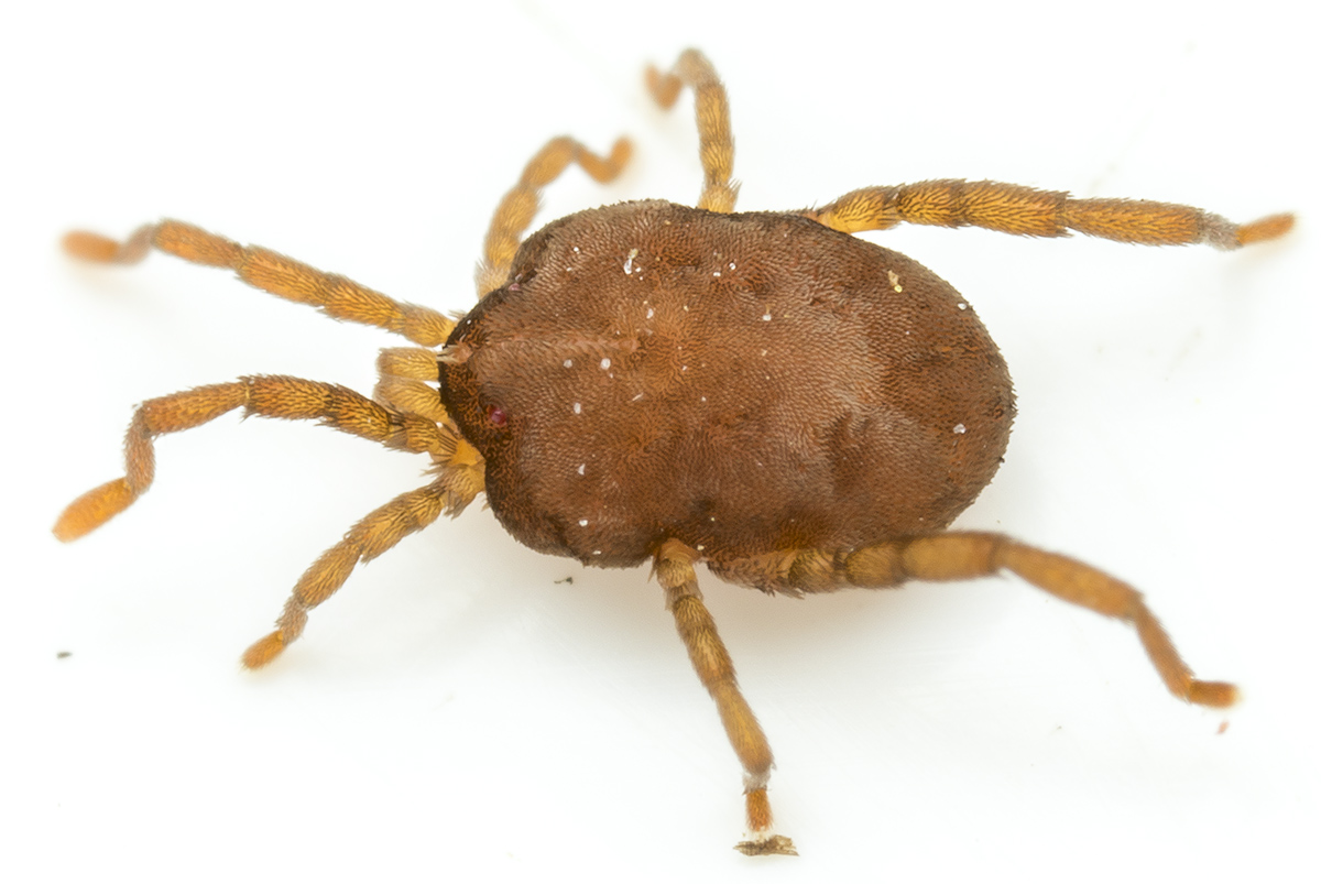 Utgångspunkt 63° 31,x' N - 22° 31,x' O: Trädgårdssafari 21.4. Del 2 ...