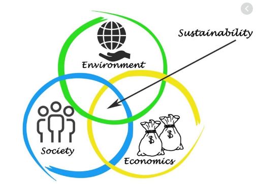 THE 5 THINGS INSURANCE DOES FOR SUSTAINABILITY