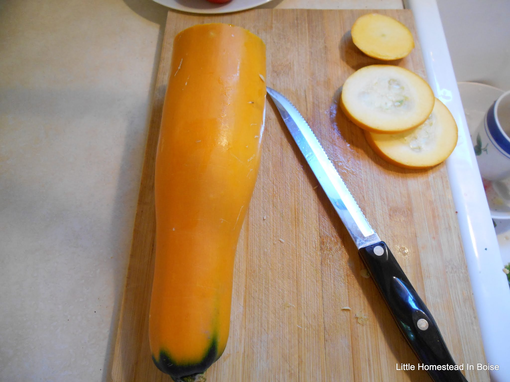 Little Homestead In Boise : Day Trip, Drying Squash, Review Vidalia ...