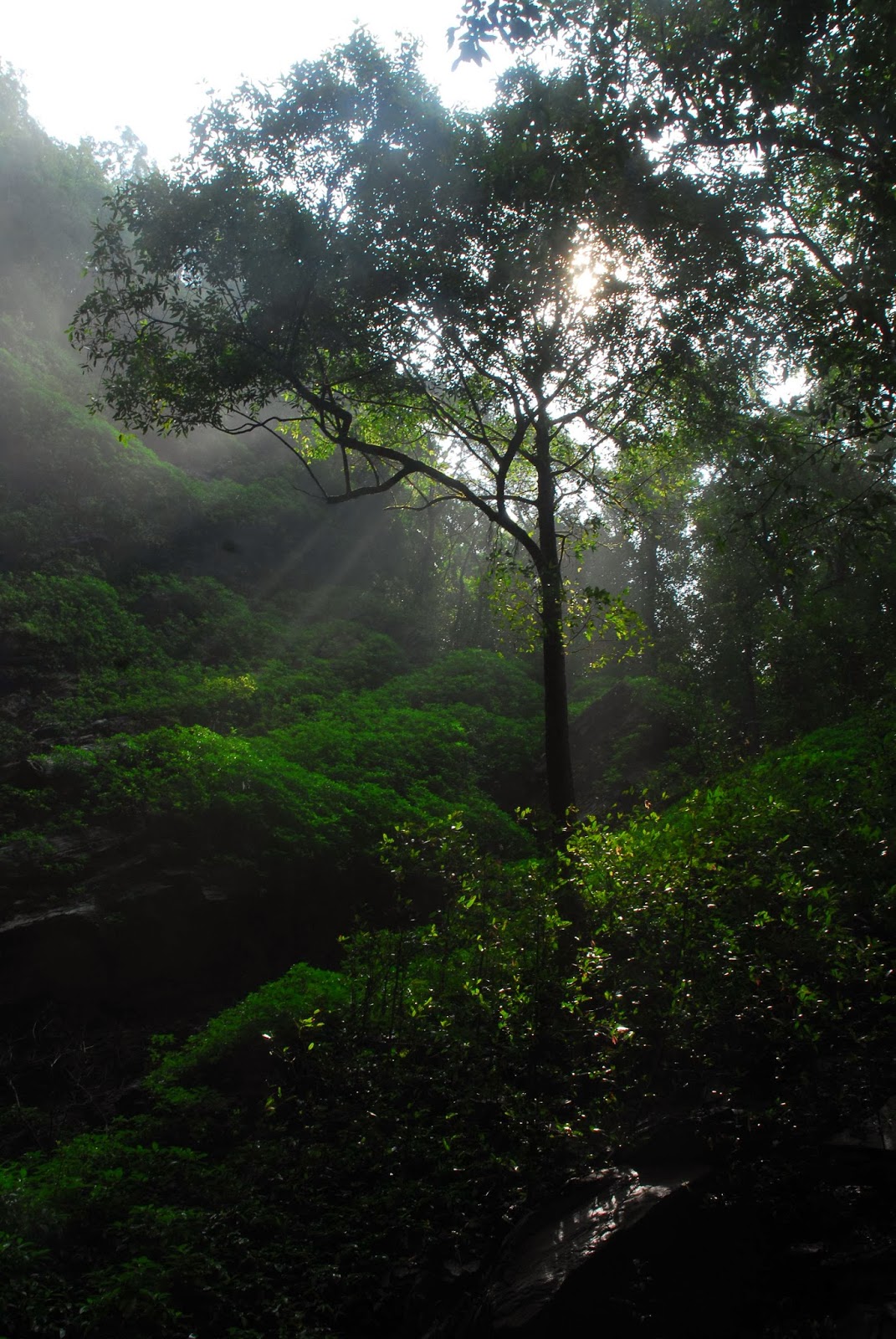 VISWANATH S: SEETHANADI-HEBRI-2013