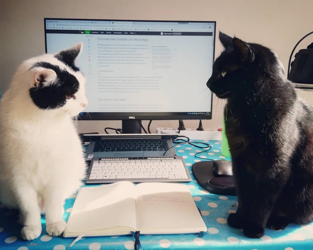 Caatje's Artsy Stuff