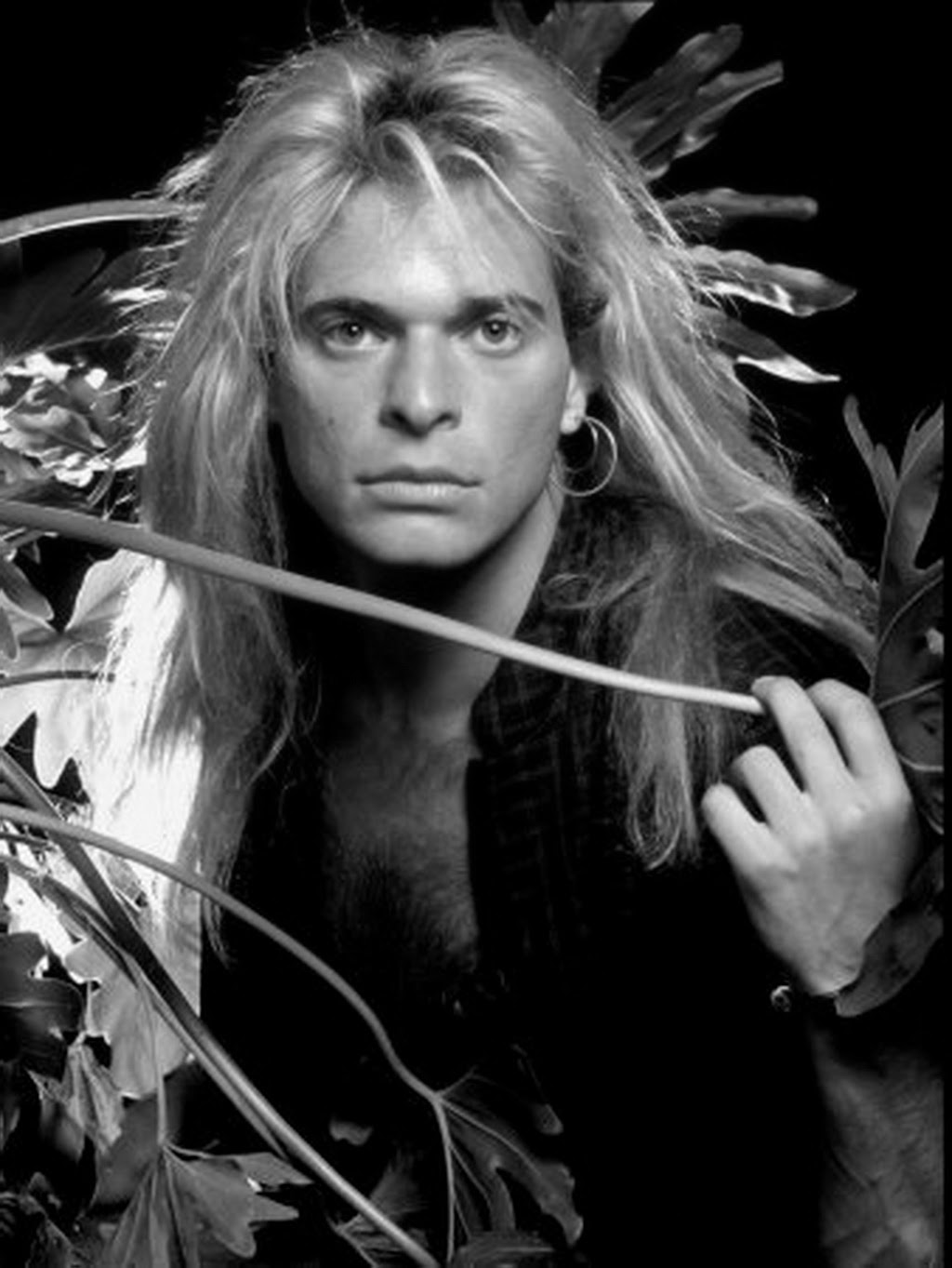 David Lee Roth Quotes. QuotesGram