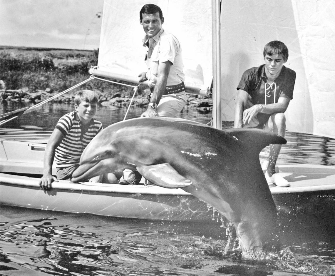 Flipper (1964-1967)