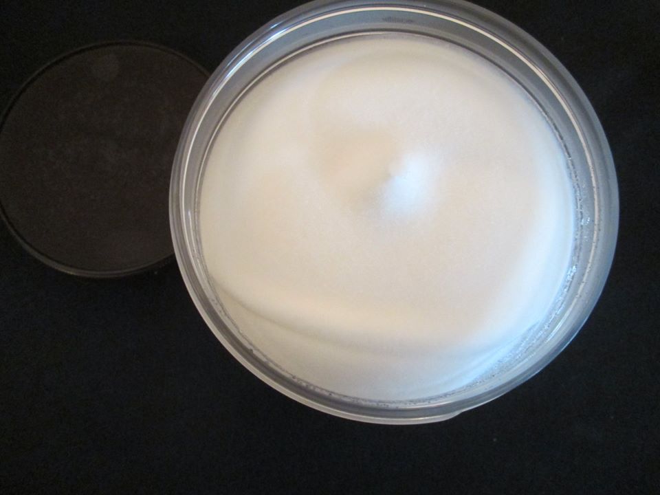 David's Ice Cream Reviews: Talenti - Coconut Chocolate Cookie