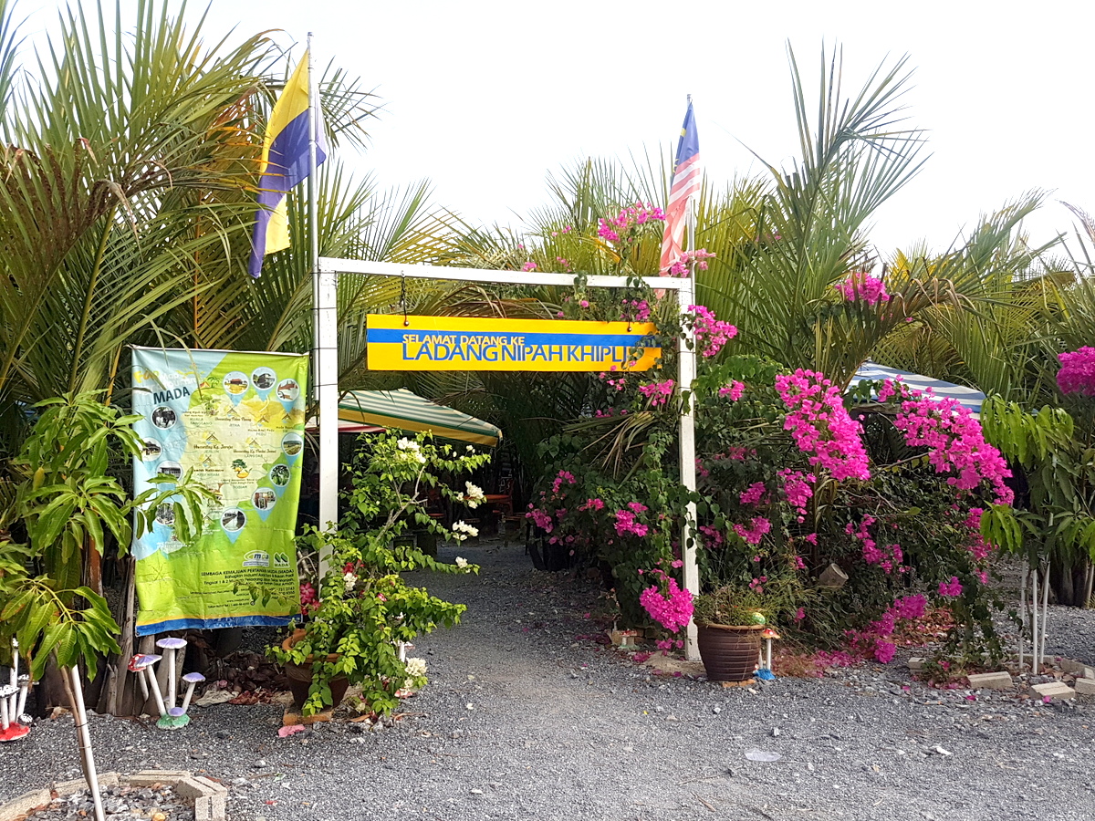 Travelholic: Perlis | Kipli Nipa Palm Farm