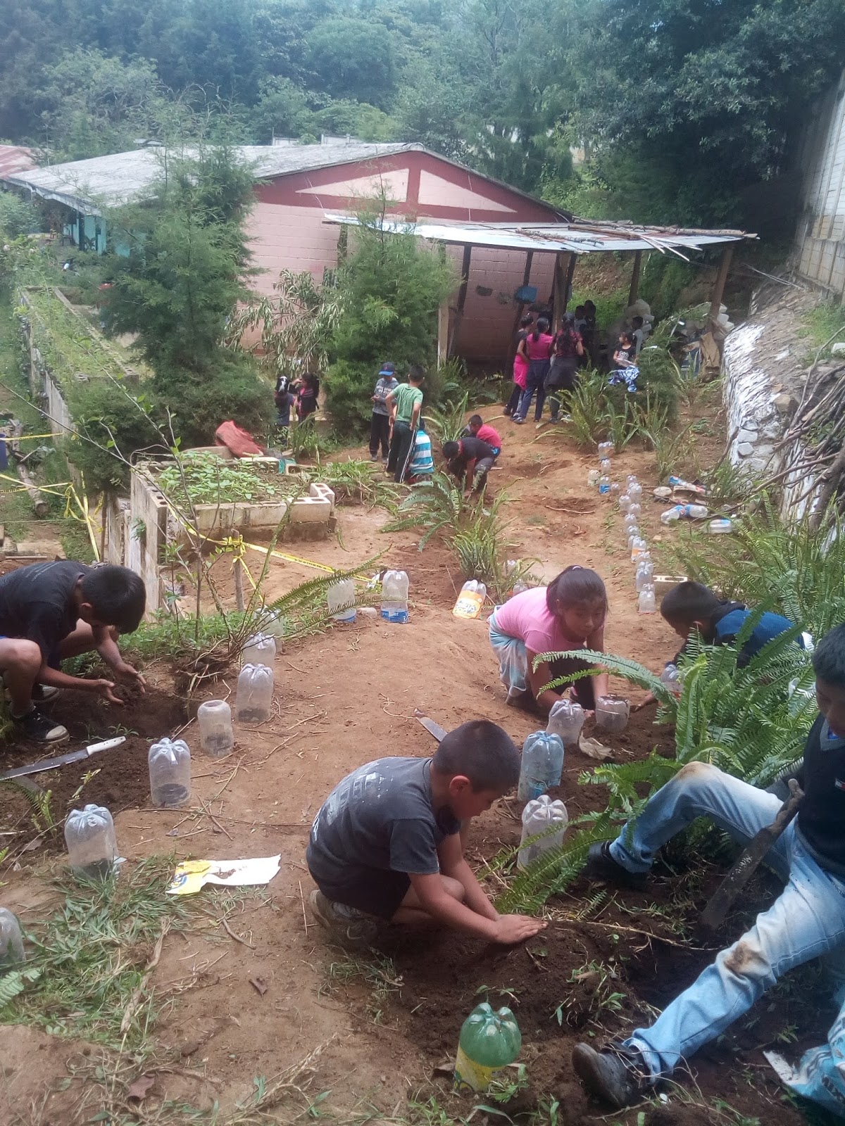 APRENDIZAJE SIGNIFICATIVO: JARDÍN ESCOLAR....