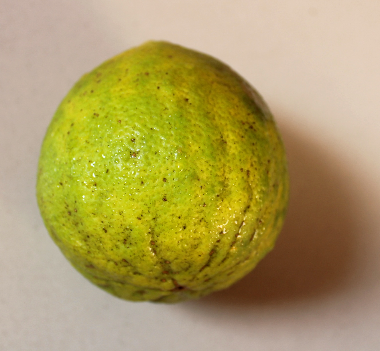 SUSRI'S ARRAY OF DELECTABLE VEG FOOD: Wild Lemon Pickle 1 / Narthangai ...