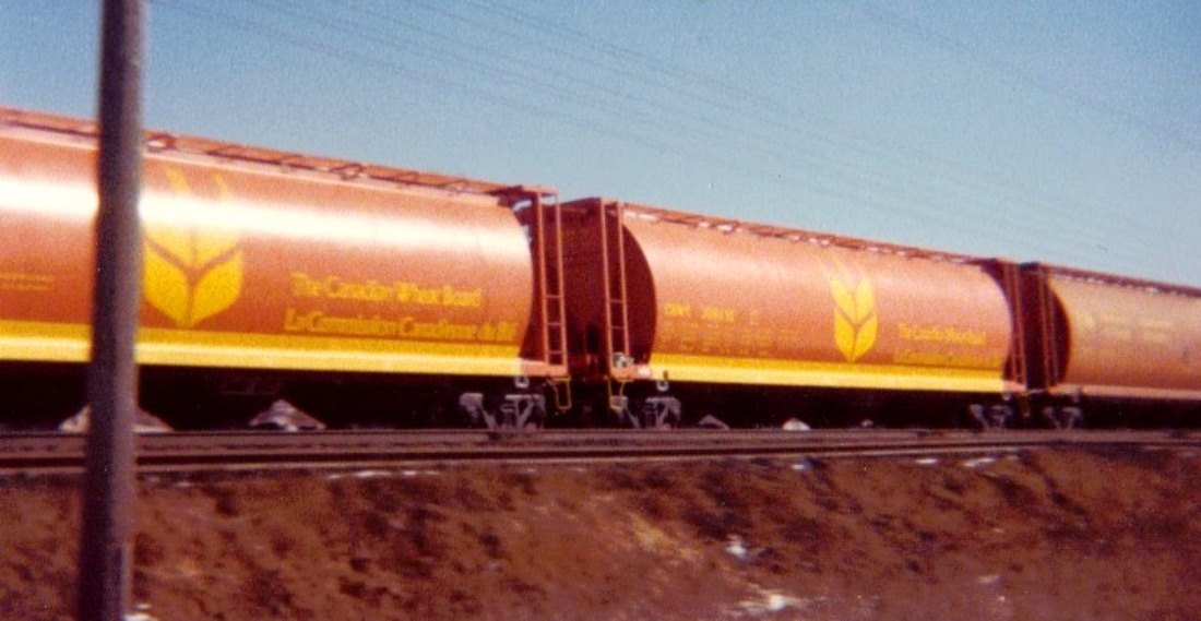 Trackside Treasure: Canada's Grain Fleet - Covered Hoppers