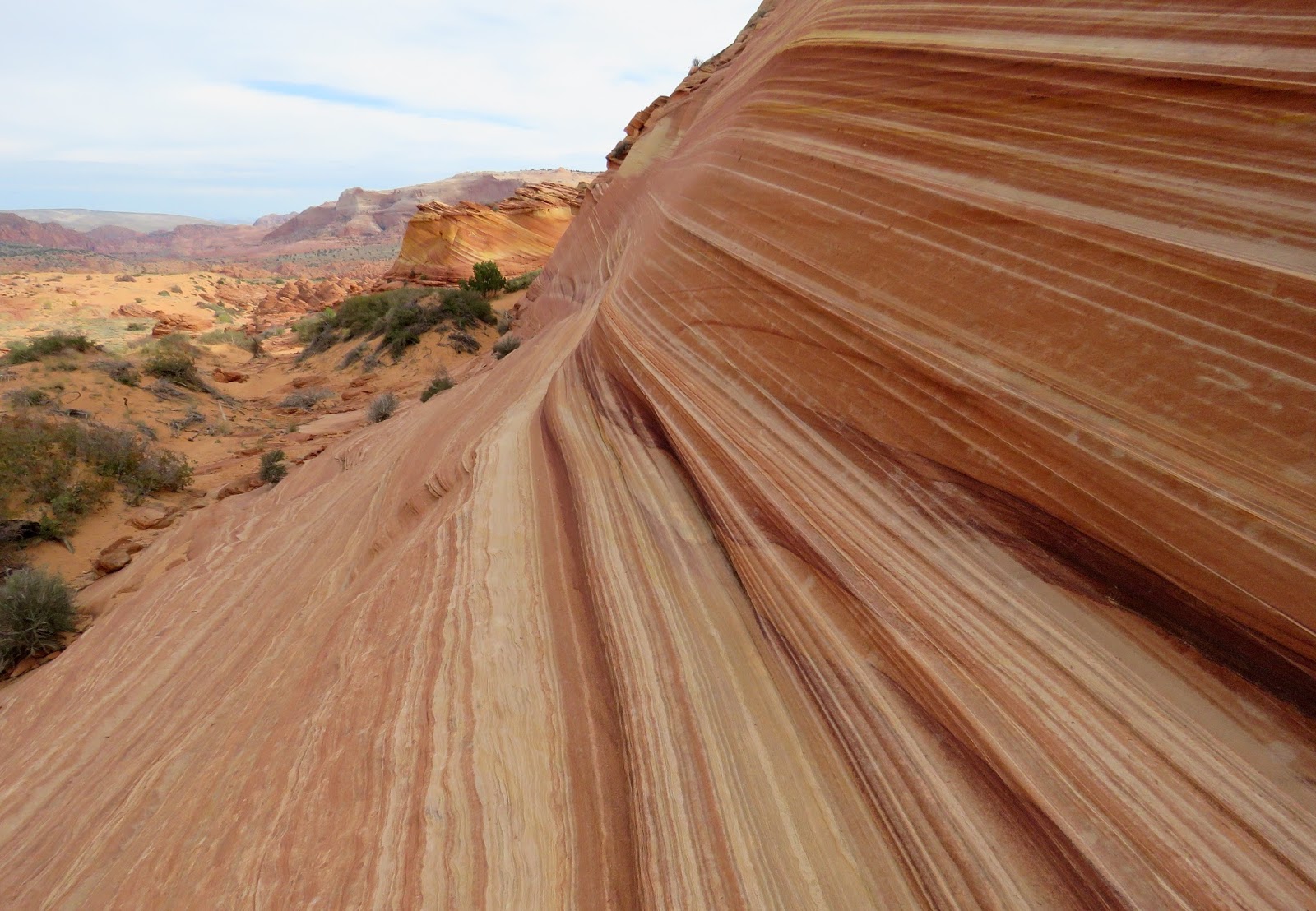 Where's Liz? 2016: The WAVE, Kanab, UT