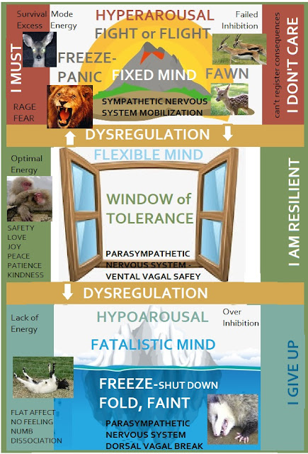 Jane Rekas, LCSW, CHt