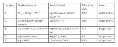 Kimia Organik Fisik: Sntesis Urea
