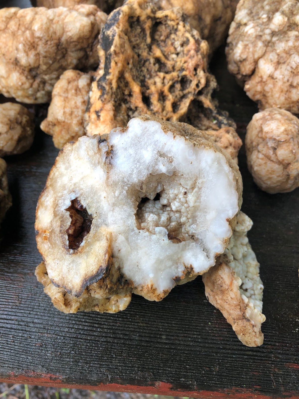 Geode hunting near Bloomington Indiana – Digital Rockhound's Site