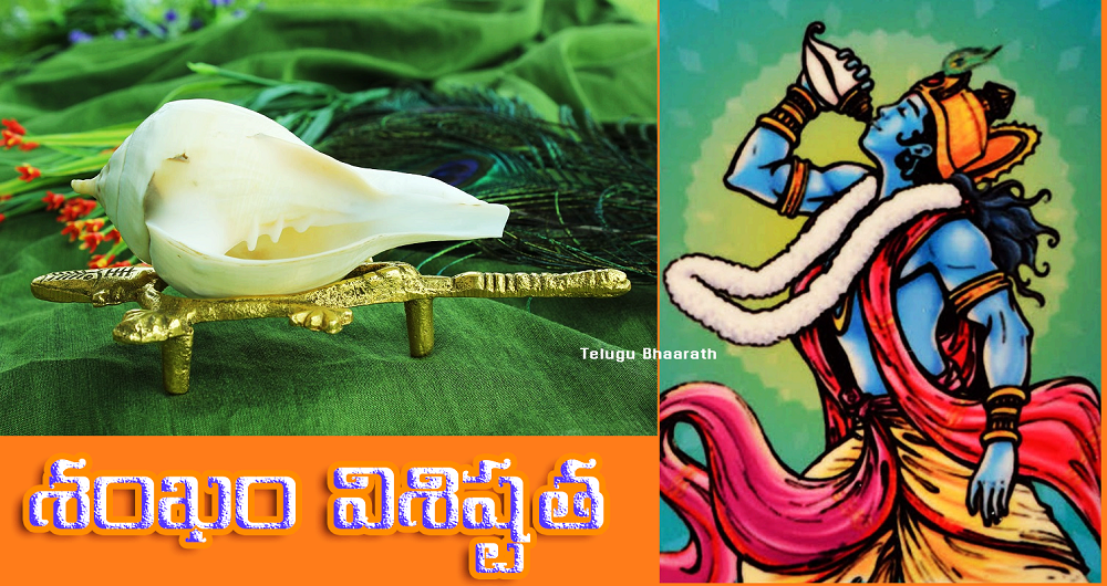 శంఖం విశిష్టత మరియు ఫలితములు - Shankam