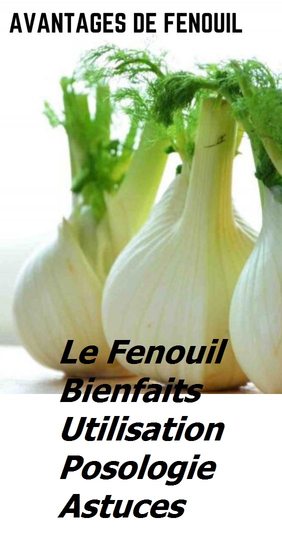 Le Fenouil - Cuissons, Préparations, Associations, Bienfaits ~ Sport et ...