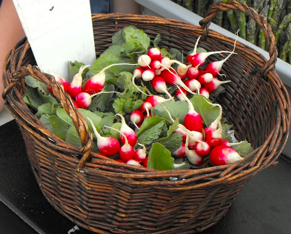 red brick house: You look radishing today