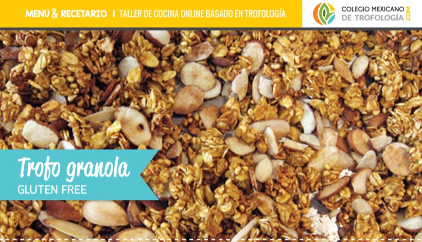 COLEGIO MEXICANO DE TROFOLOGÍA: Receta: TROFO GRANOLA (gluten free)