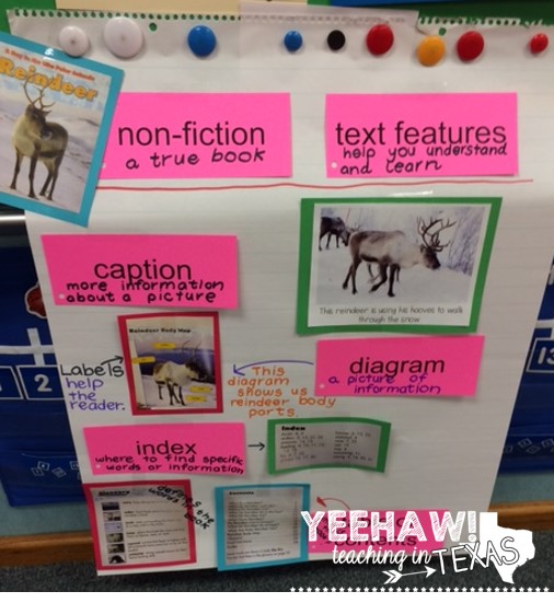 Reindeer Resources - Sarah Chesworth