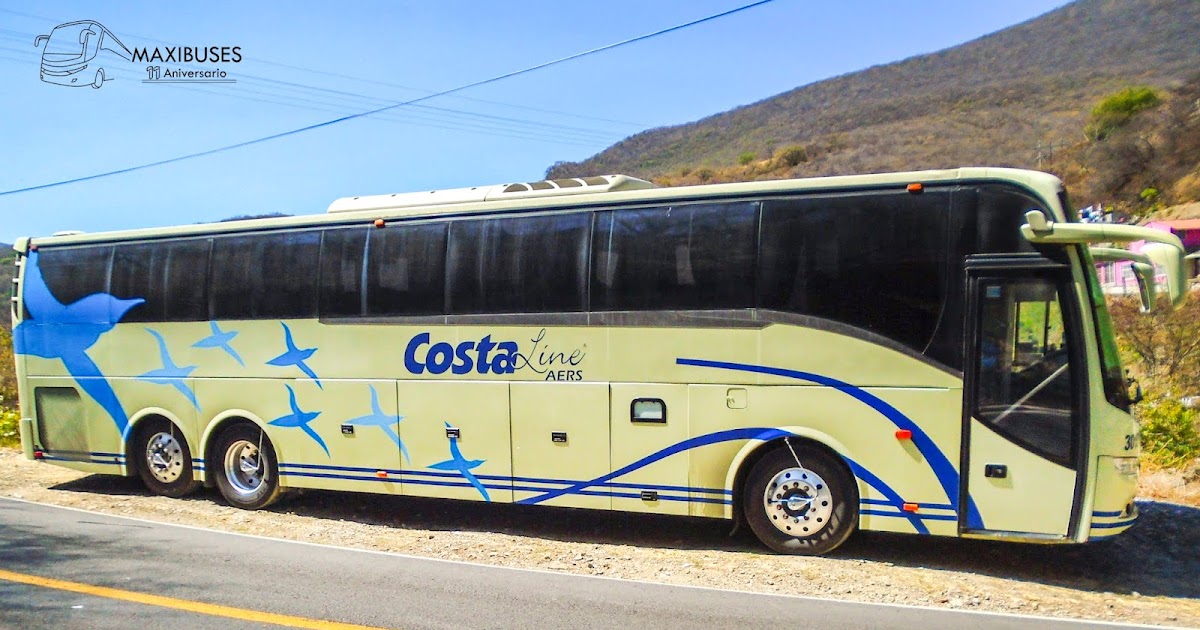 MAXIBUSES: COSTA LINE