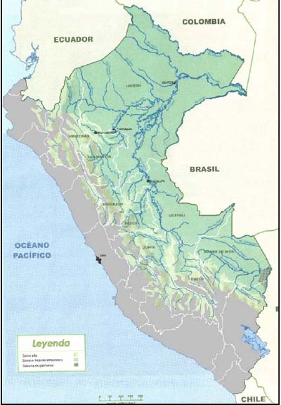 SELVA ALTA DEL PERU