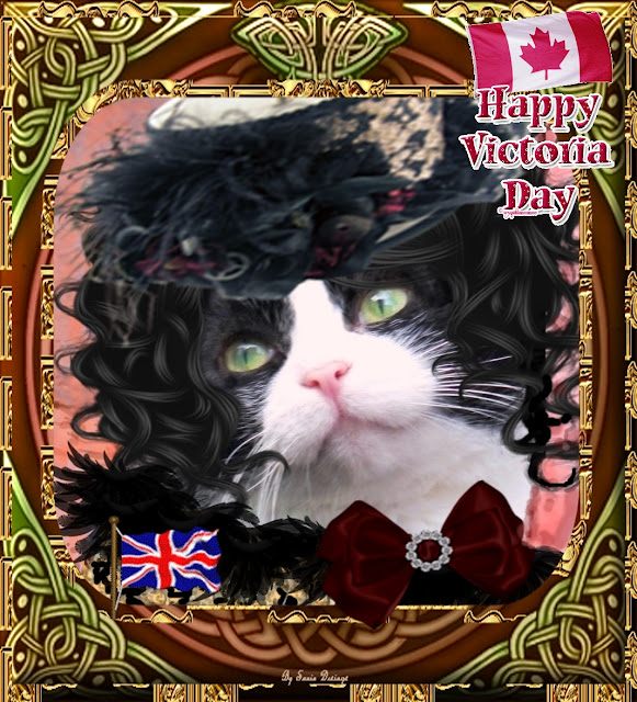 Wendy's 3-D Cats: HAPPY VICTORIA DAY!
