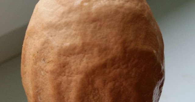 TYWKIWDBI ("Tai-Wiki-Widbee"): So, does this egg have varicose veins