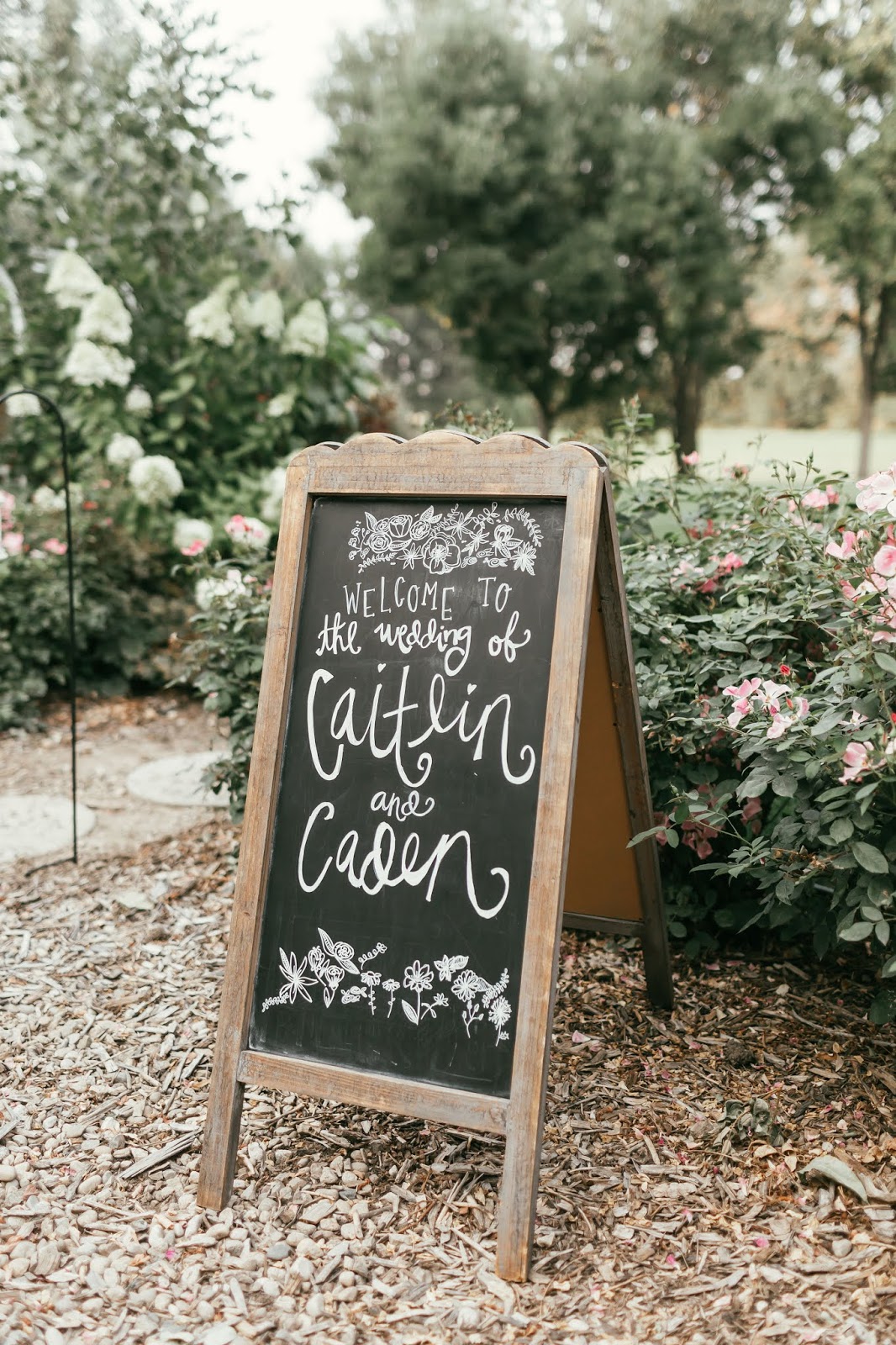 The Stevenson Ohana: Caden & Caitlin's Wedding