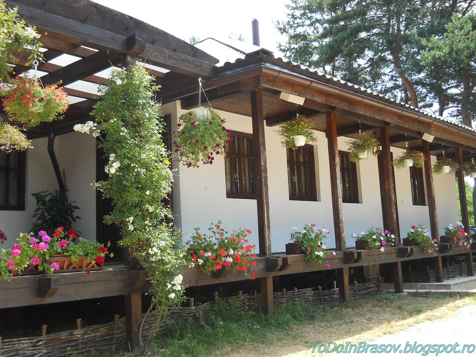 To Do In Brasov - Afla tot ce poti sa faci in cel mai frumos oras din ...