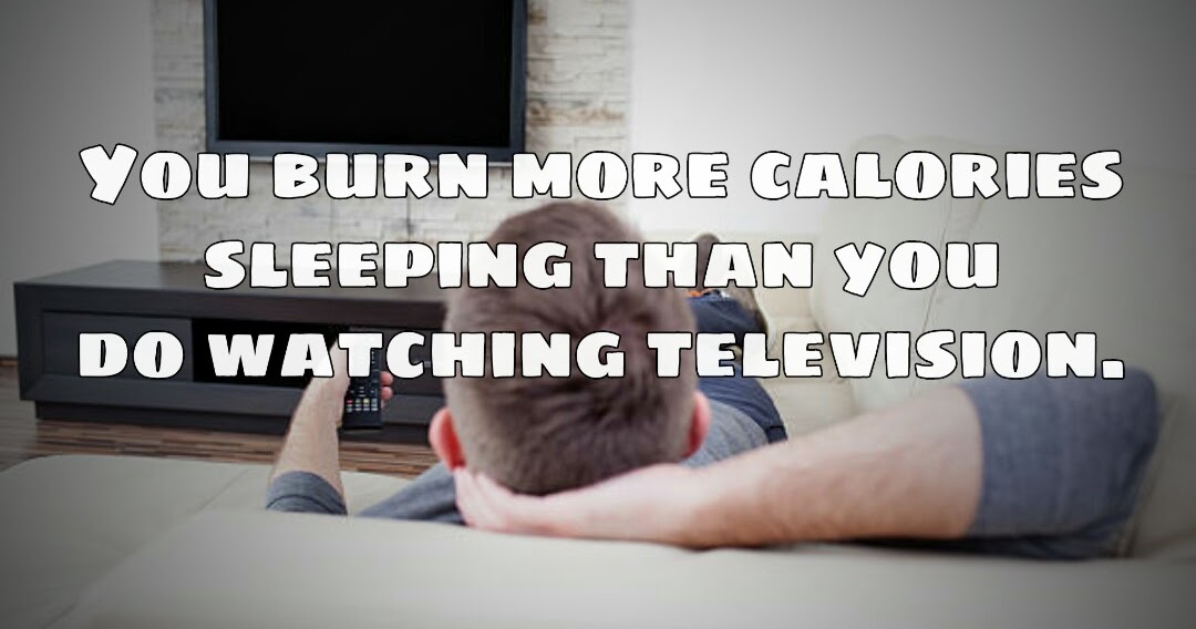 Amazing Facts About Daily Life - Random Life Facts - The Fact Hub