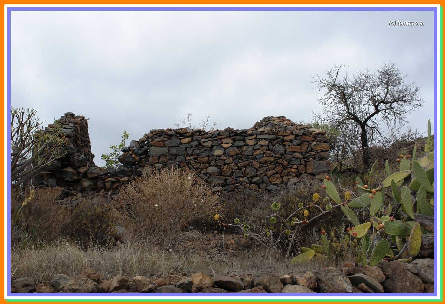 Tenerife senderos......: TENERIFE SENDEROS --GUIA ISORA-- EL JARAL -LAS ...