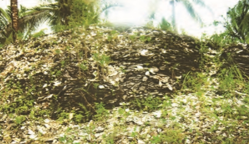 Hasil Kebudayaan Mesolitikum ( Kjokkenmoddinger dan Abris Sous Roche )