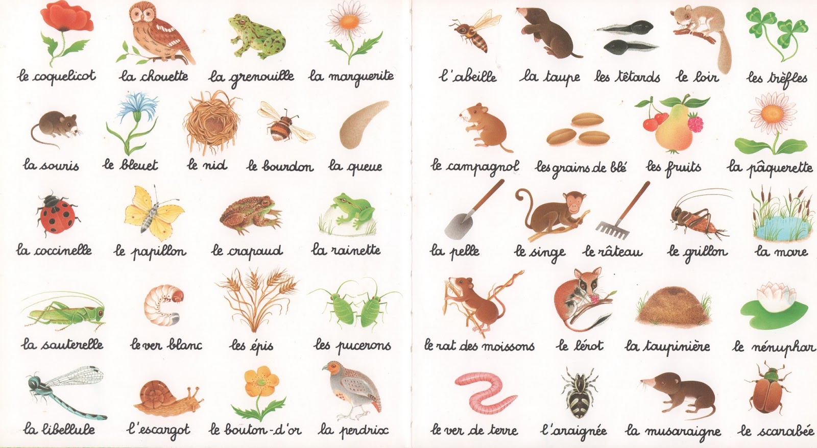 école : références: Je lis avec les animaux de la campagne