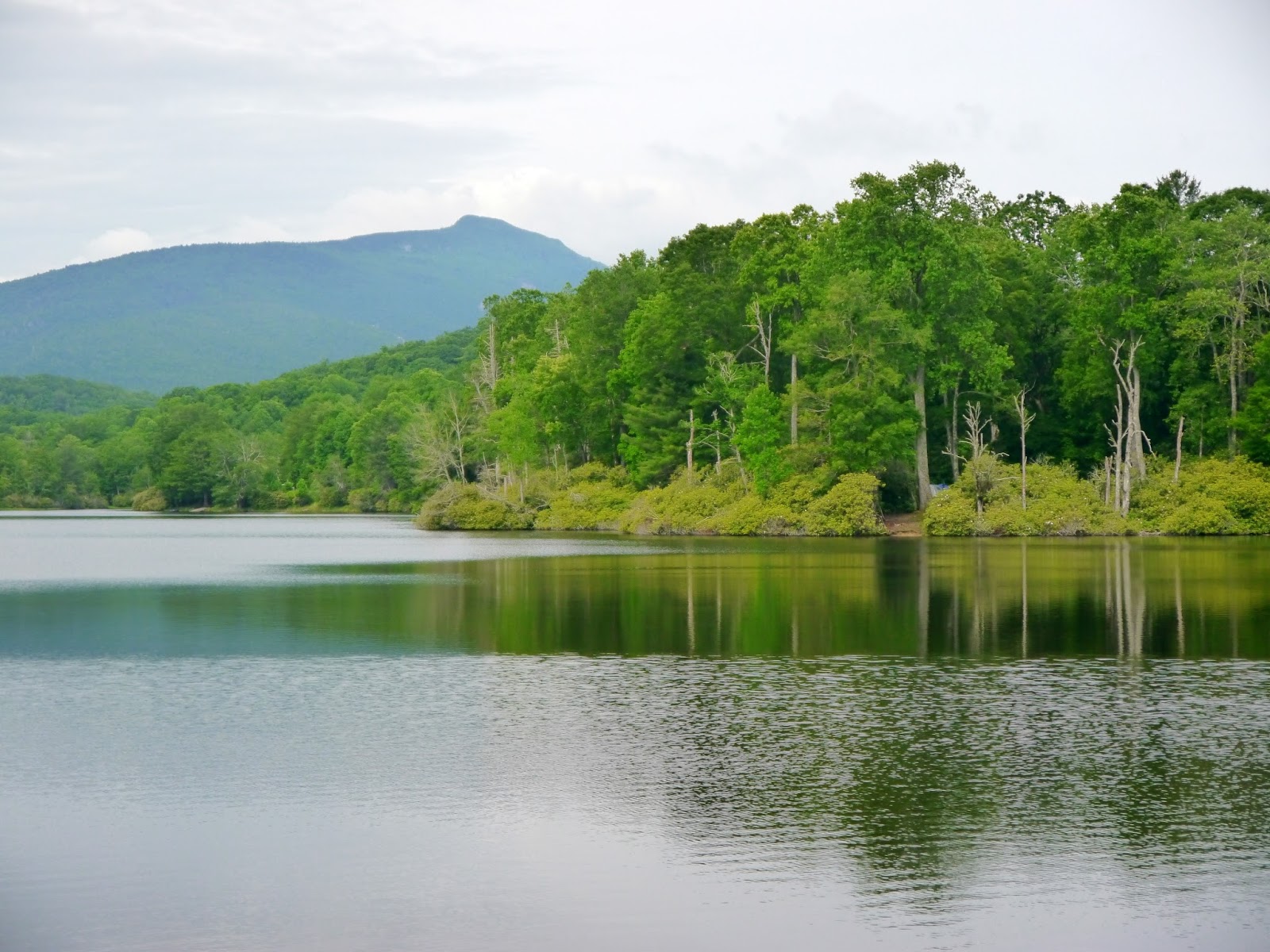 American Travel Journal: Julian Price Memorial Park - Blue Ridge Parkway