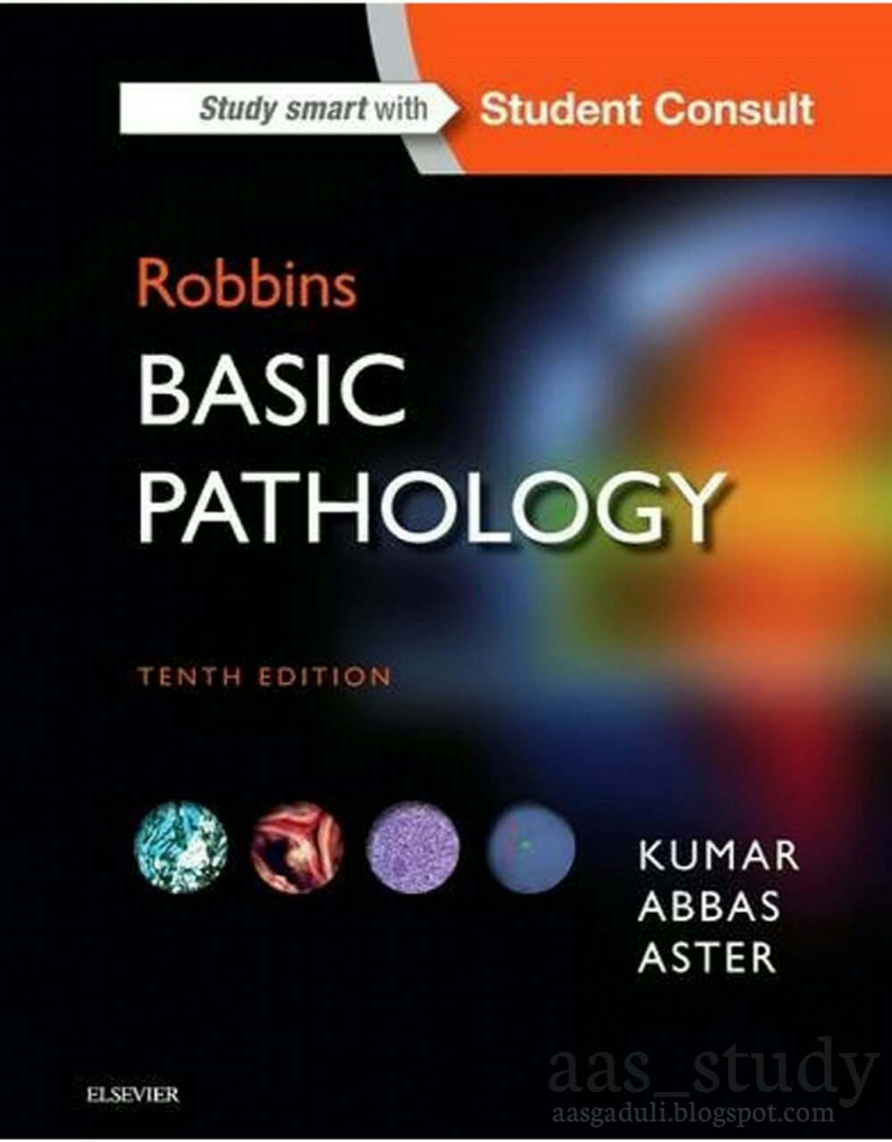 Robbins Basic Pathology (10th edition)
