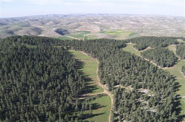 Land of Israel: List of Forests in Israel