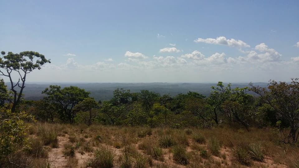 N.W Transfer e Turismo: Parque Estadual Monte Alegre. O Berço da ...