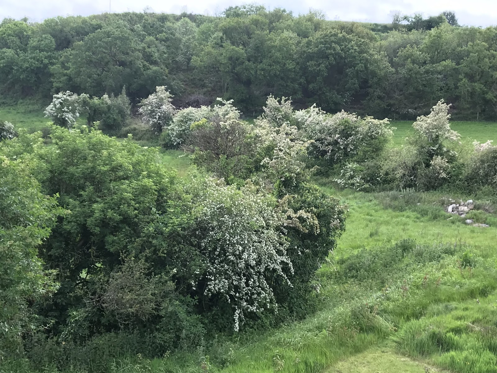 Jennie Castle Architecture: 2019