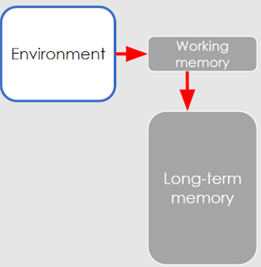 Denbigh Teaching and Learning: 2019