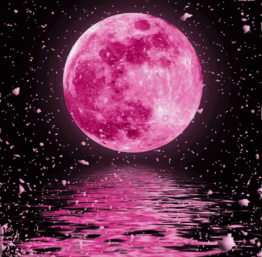 SUPER LUNA ROSA de ABRIL 2020