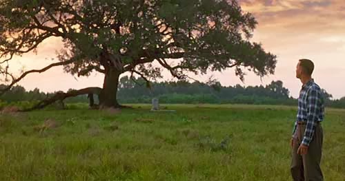 From the MOON to the GRAIL: 869. Forrest Gump (1994)