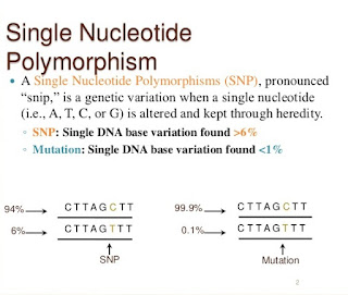 Journals and Conferences on immunology: Single Nucleotide Polymorphism ...