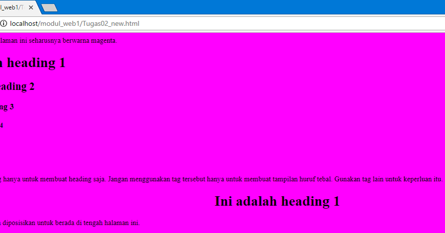 WEB PROGRAMMING: TUGAS PERTEMUAN KE 2 WEB PROGRAMMING I