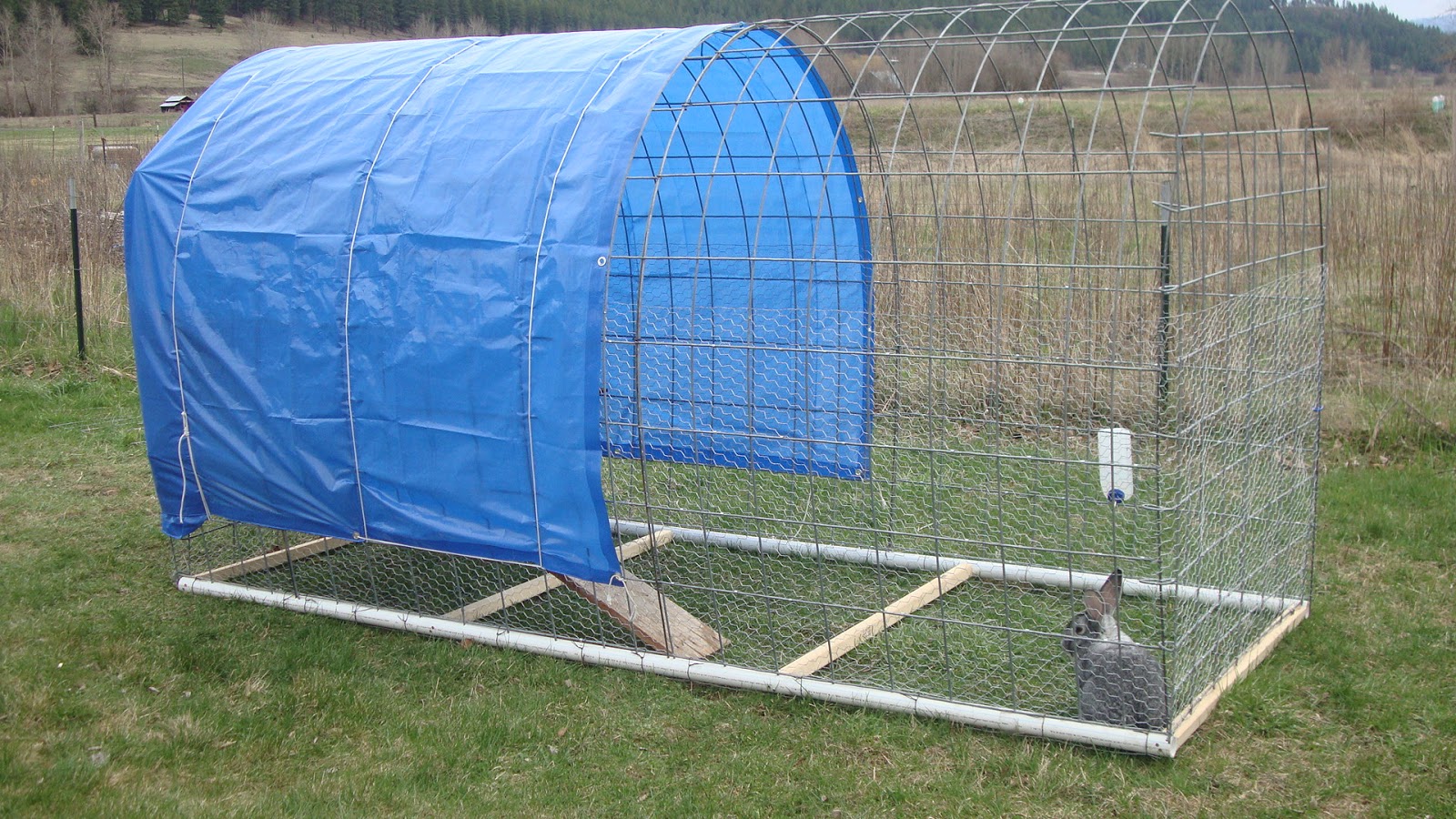 rabbit tractor thoughts... | Rabbit Talk - Meat Rabbit & Farming Forum