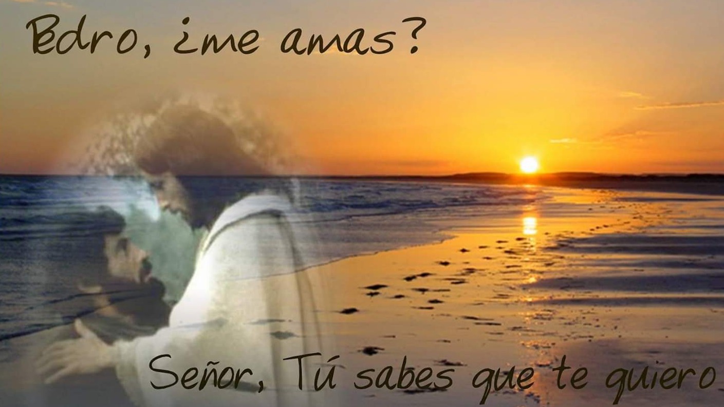 CATÓLICO DEFIENDE TU FE: Pedro, ¿Me amas más que éstos?