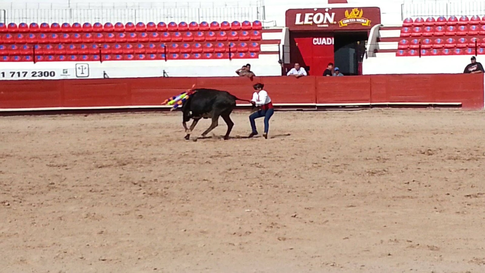 Grupo de forcados femenil de Hidalgo: junio 2013