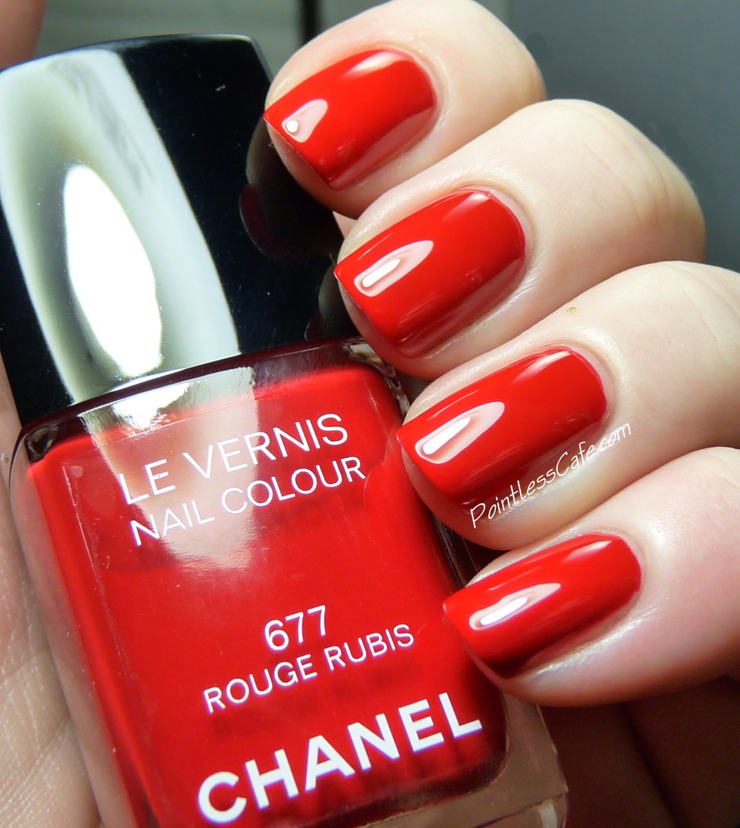Chanel Rouge Rubis #677 - Swatches and Review and a Comparison ...