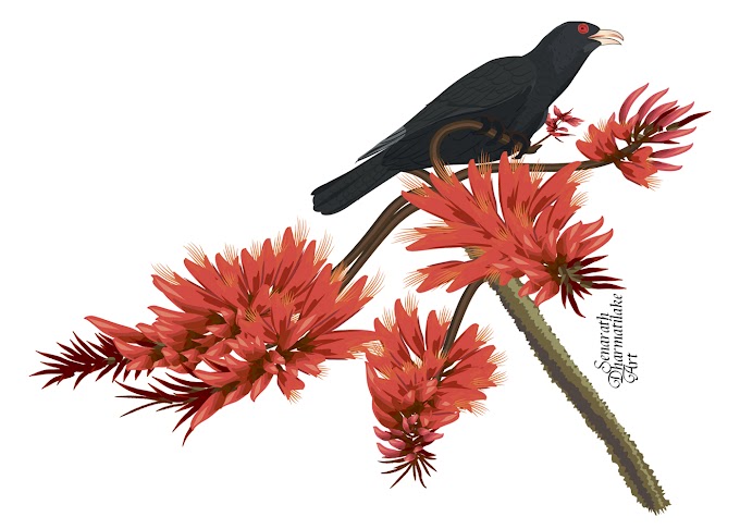 Sinhala aurudu sun / Hiru deviyo